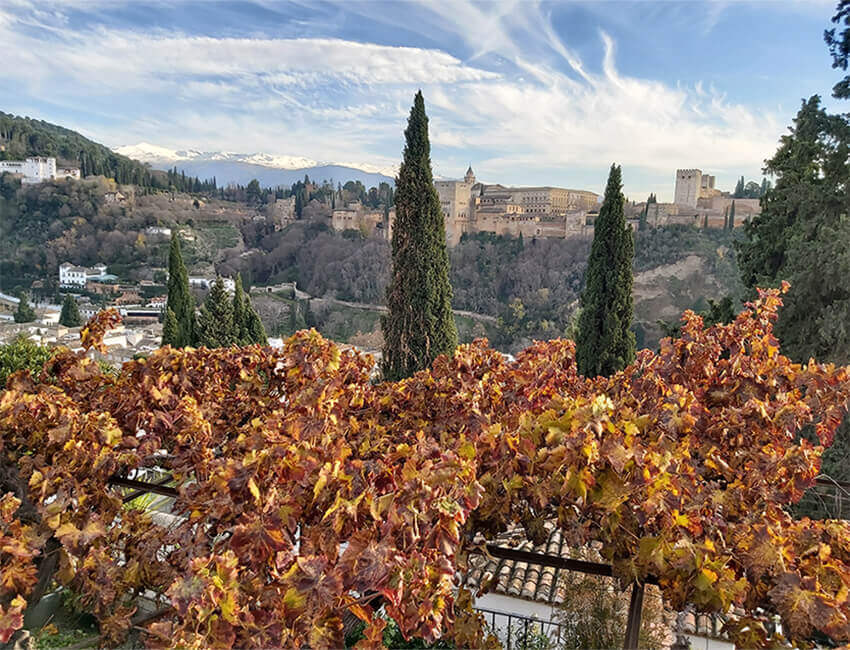 5 Reasons to visit Granada in December and Enjoy the Stay